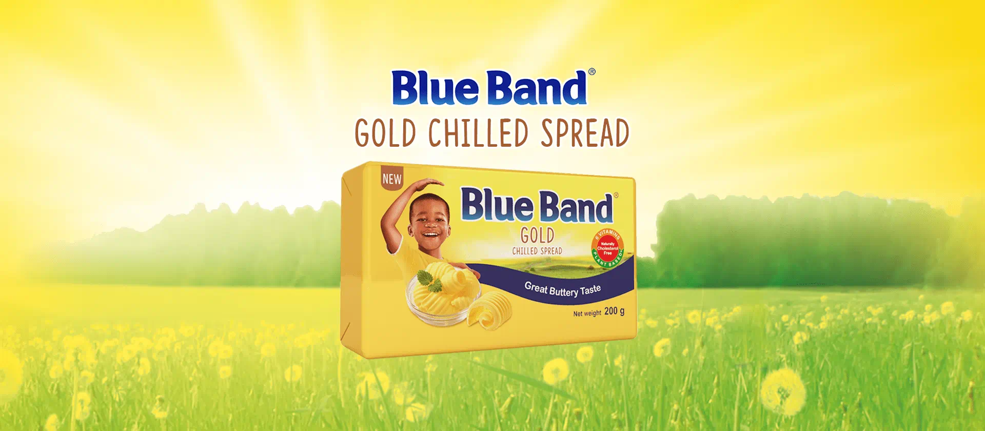 Product Range | Blue Band Ghana | BlueBand